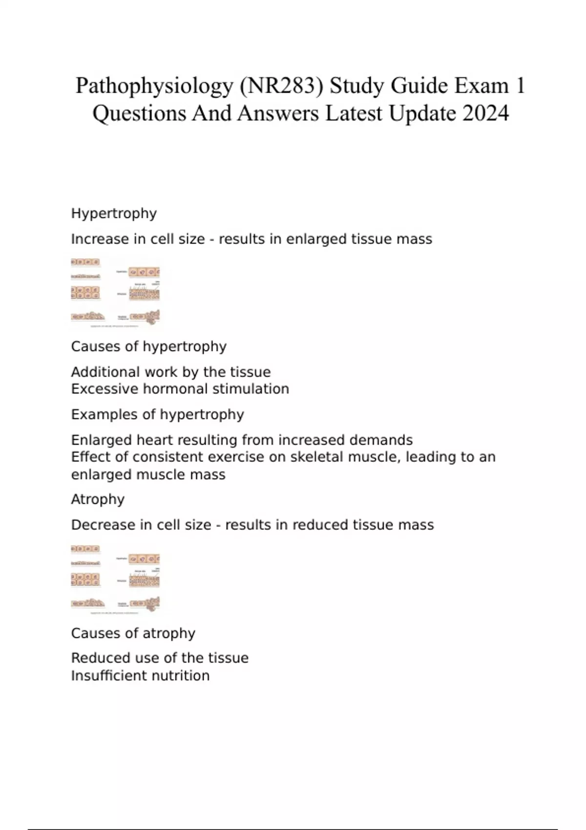Pathophysiology (NR283) Study Guide Exam 1 Questions And Answers Latest ...