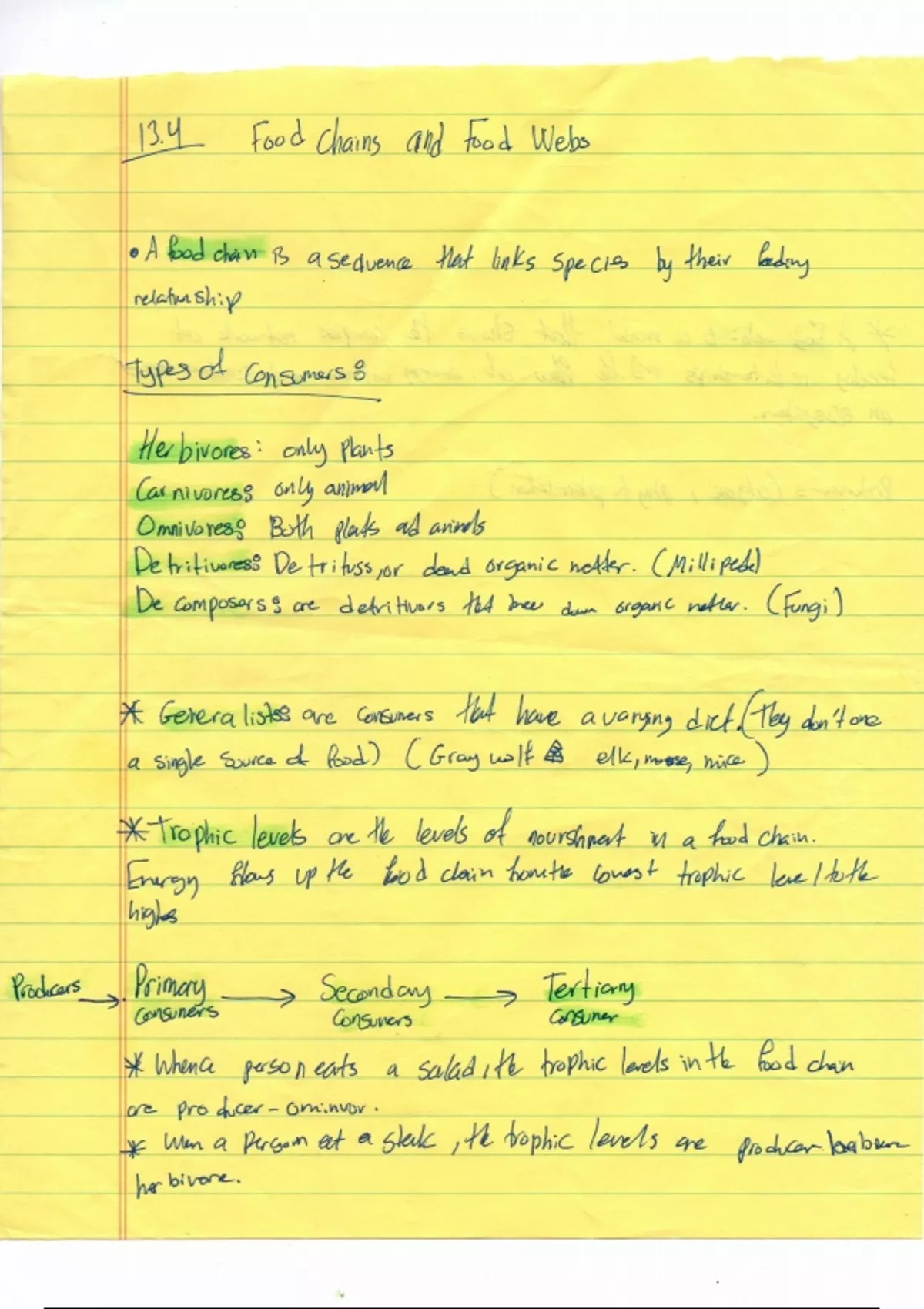 Summary food chains and food web - Biology - Stuvia US