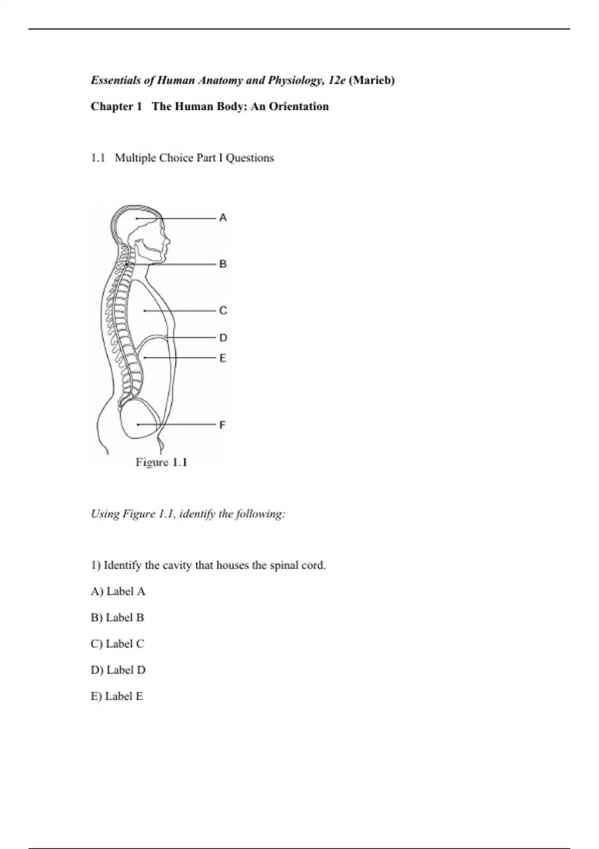 Test Bank to Accompany Essentials of Human Anatomy & Physiology,Marieb ...