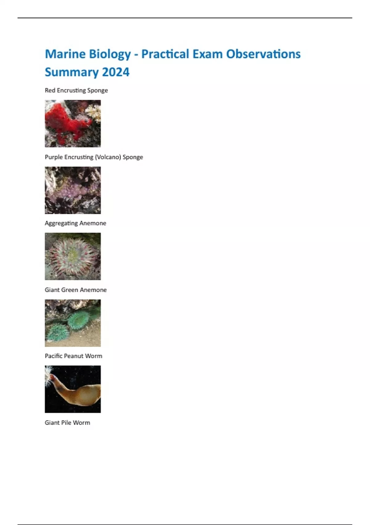 Marine Biology - Practical Exam Observations Summary 2024 - Marine ...