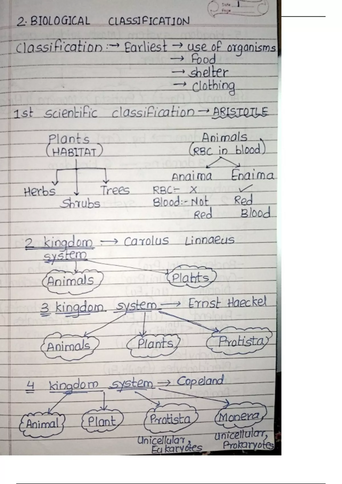 BIOLOGY HANDWRITTEN NOTES - NEET - Stuvia US