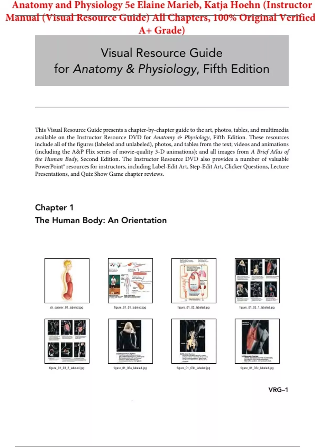 Instructor Manual (Visual Resource Guide) for Anatomy and Physiology ...