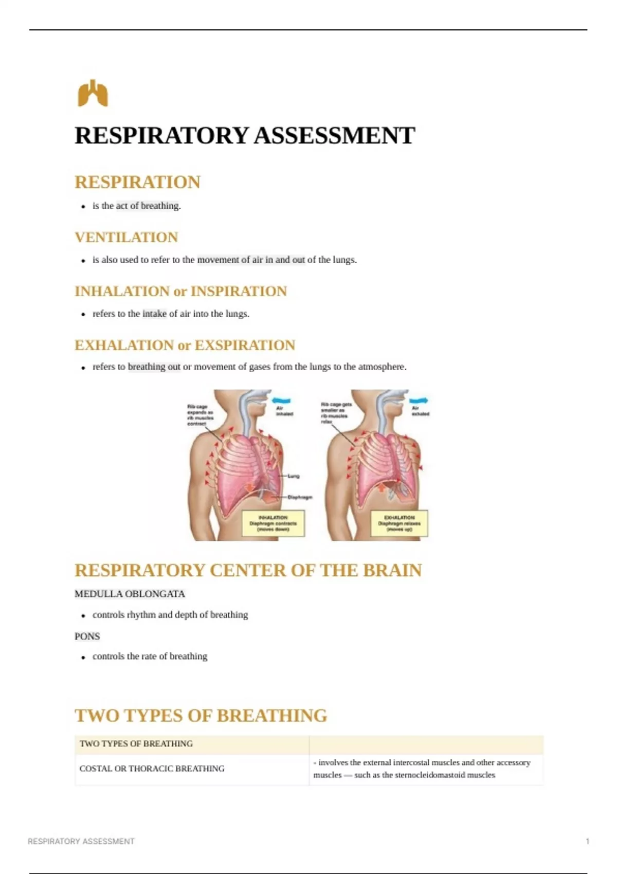 All you need to know about RESPIRATORY ASSESSMENT - NCM 103 (NCM103 ...