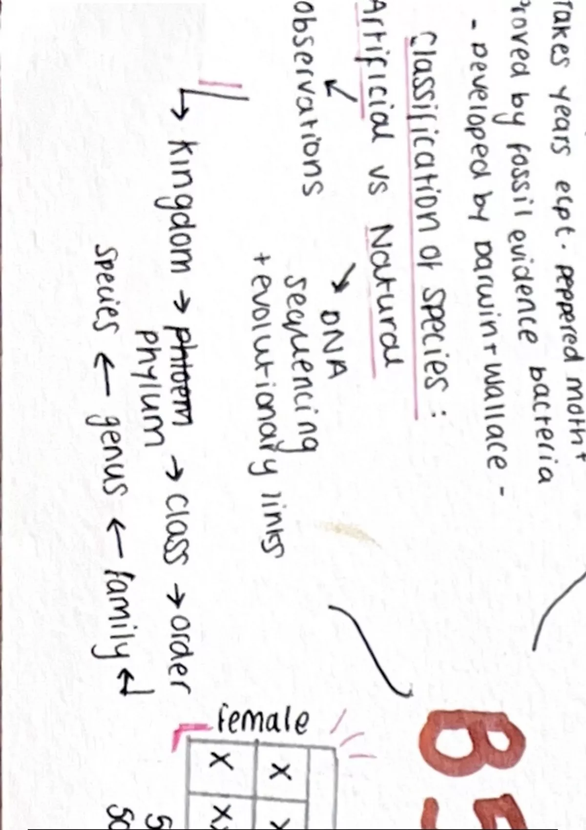 Biology OCR GCSE Paper 1 and 2 Summary’s - Biology - Stuvia UK