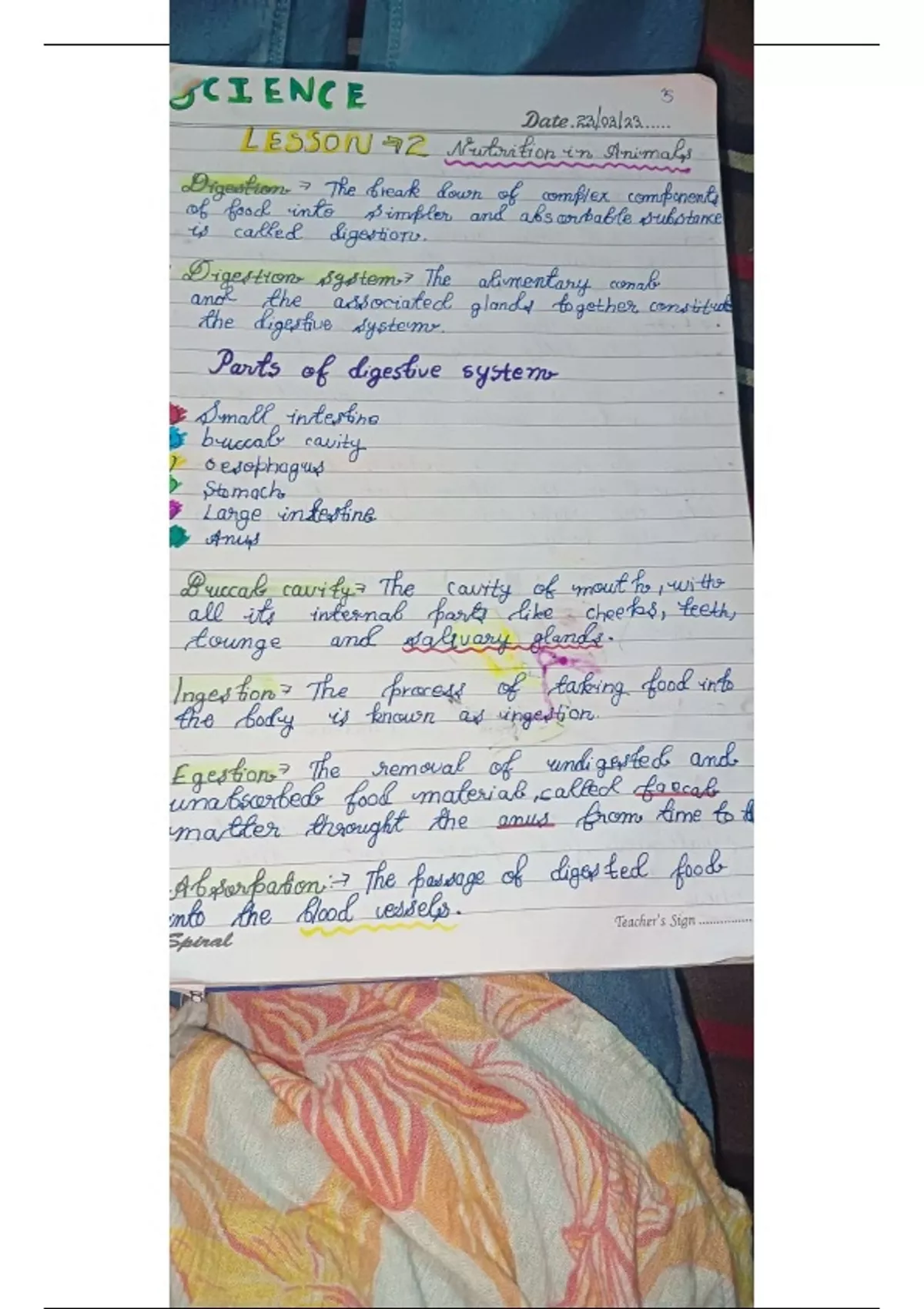 Class notes Class 7th science chapter 2 nutrition in Animals - Class ...