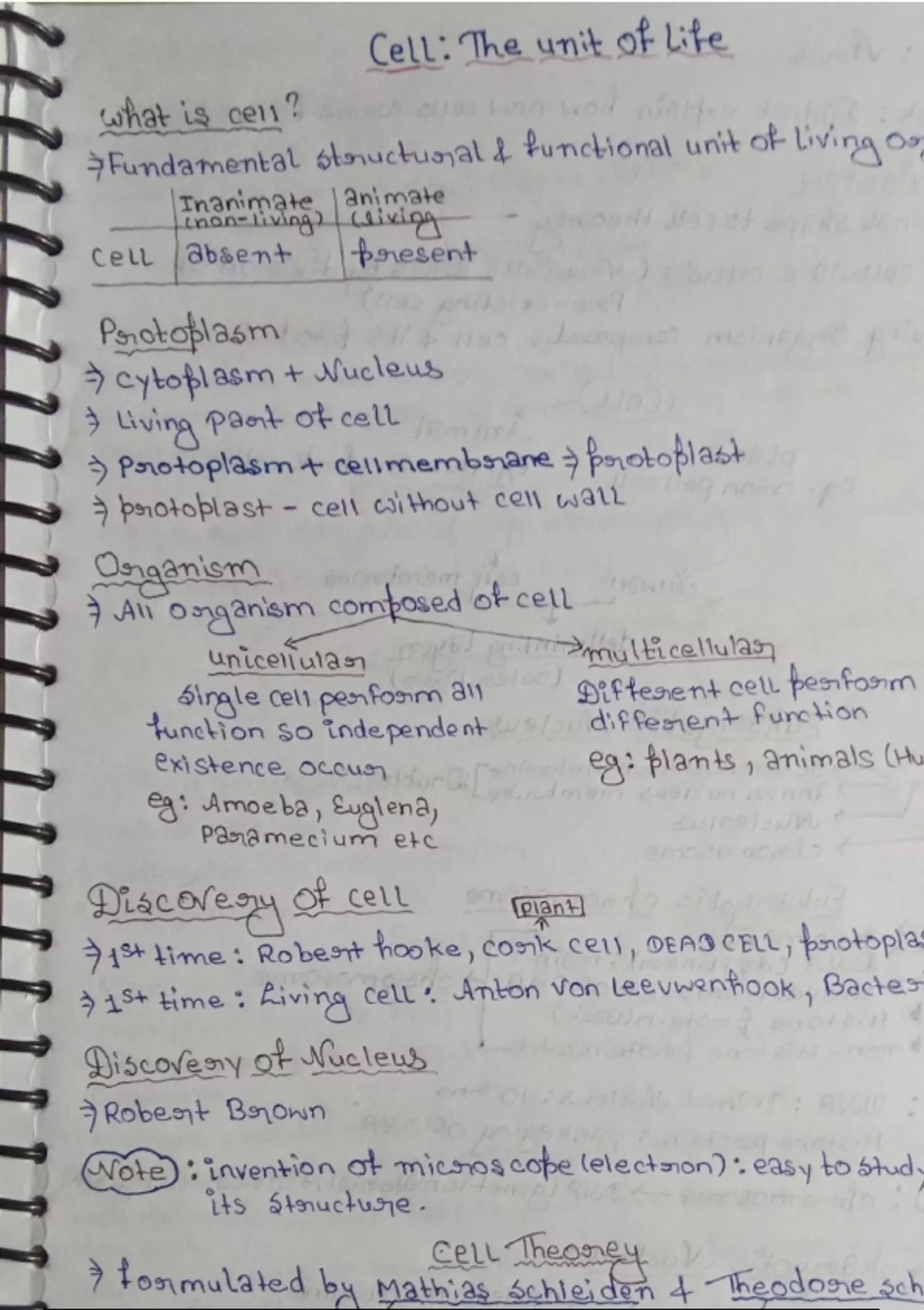 NCERT detailed handwritten notes (neet) - Science - Stuvia US