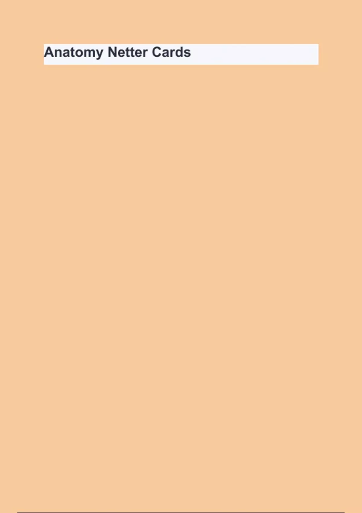 Anatomy Netter Cards - Longitudinal 3 - Stuvia US