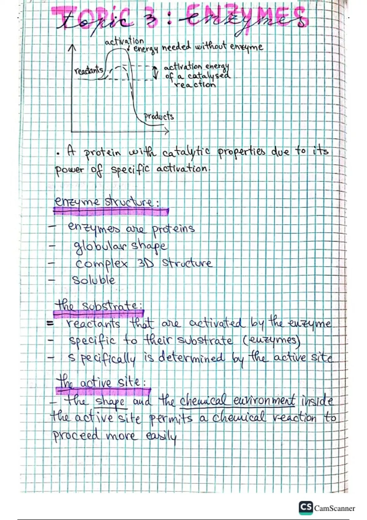 9700 AS/A-LEVEL BIOLOGY - ENZYMES NOTES - 9700 A-level Biology - Stuvia US