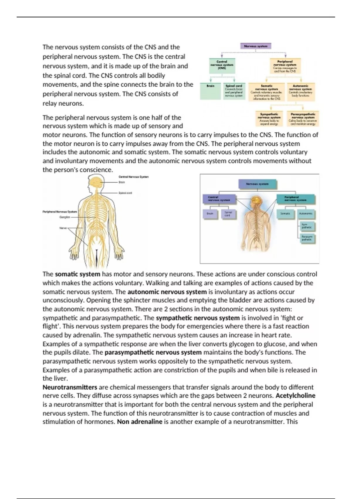 Btec Applied Science Unit 9a Distinction Unit 9 Human Regulation And Reproduction Stuvia Uk
