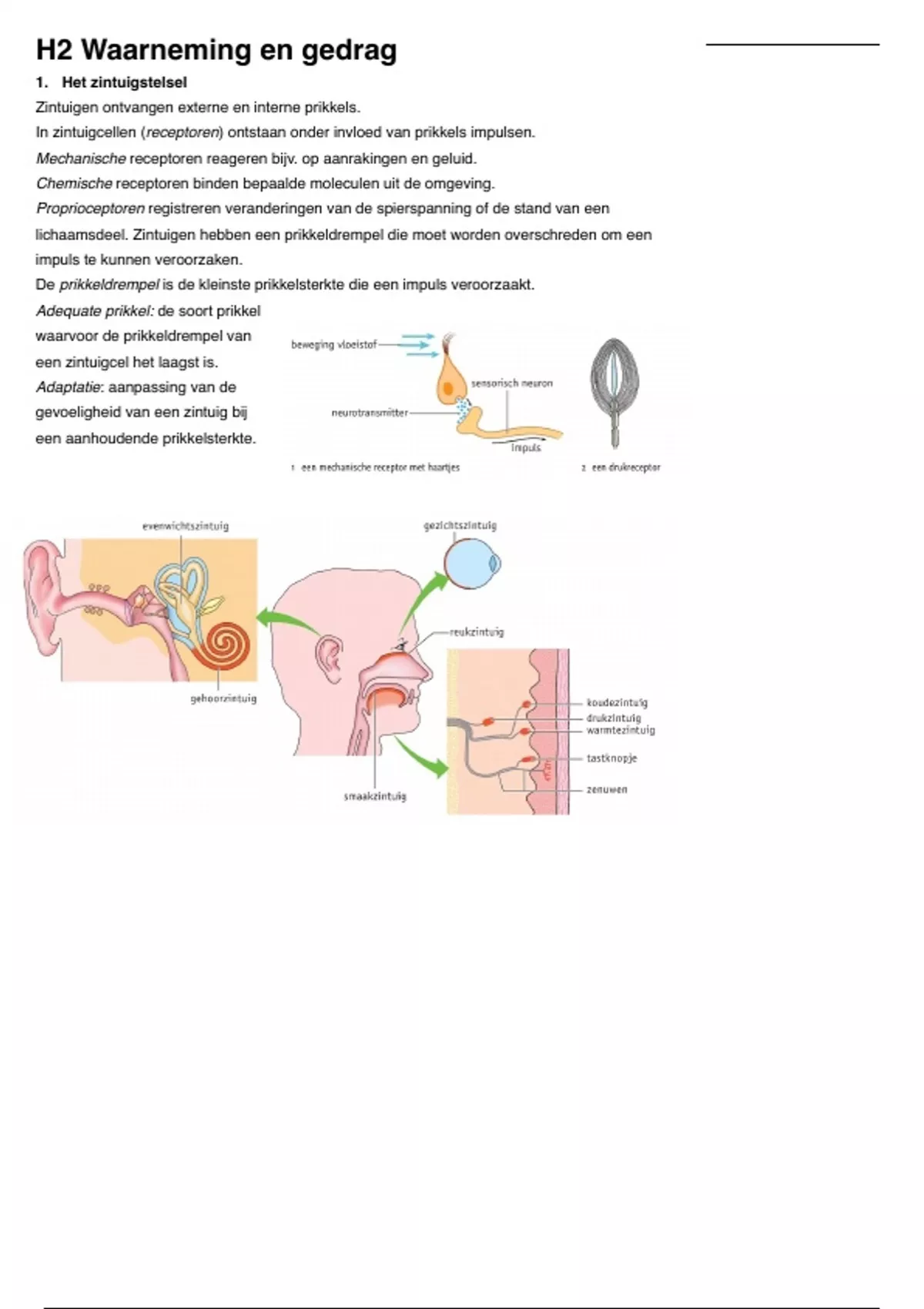 Samenvatting H2 waarneming en gedrag Biologie voor jou 5 vwo - Biologie ...