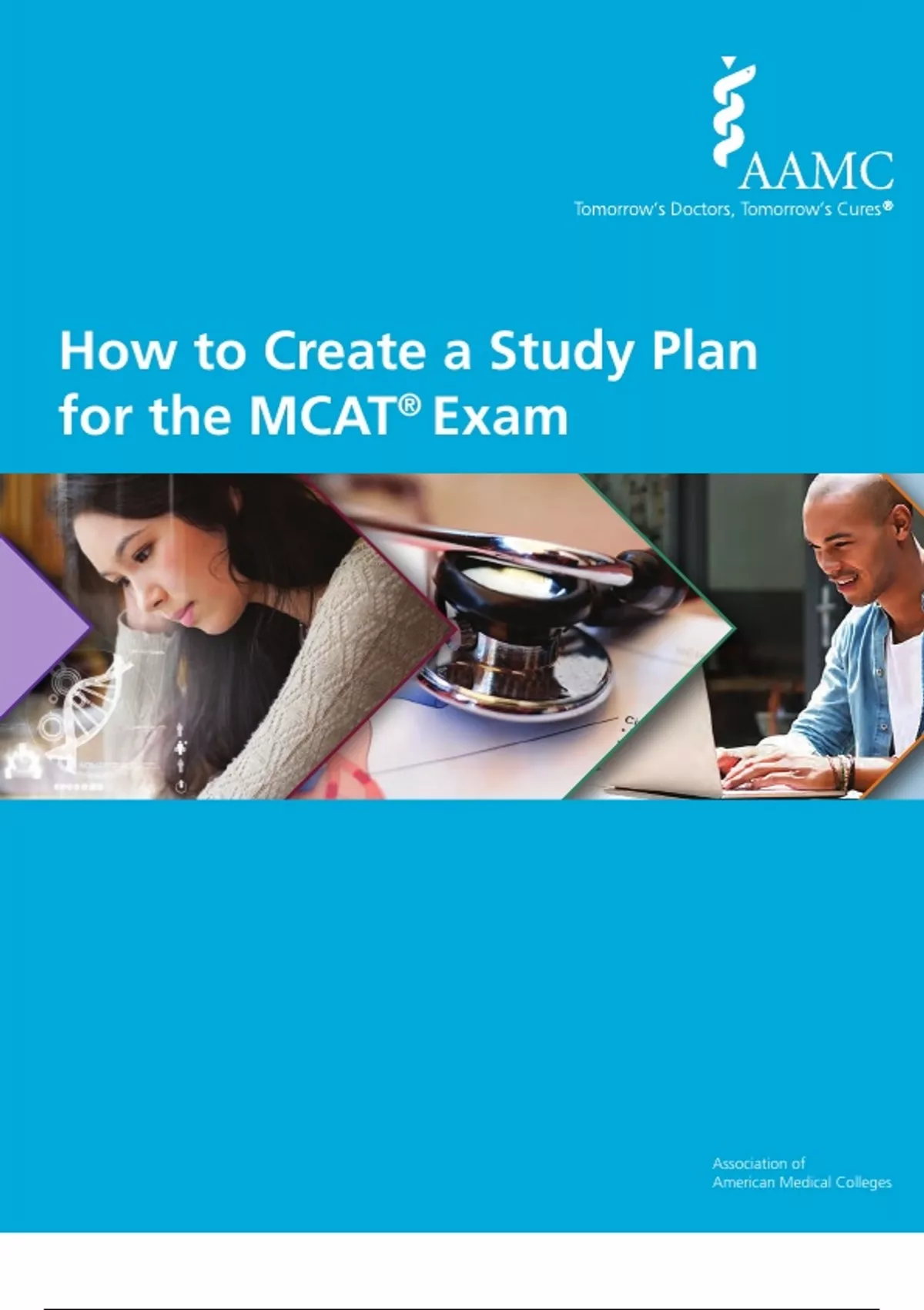 How to Create a Study Plan for the MCAT® Exam - TESTS - Stuvia UK