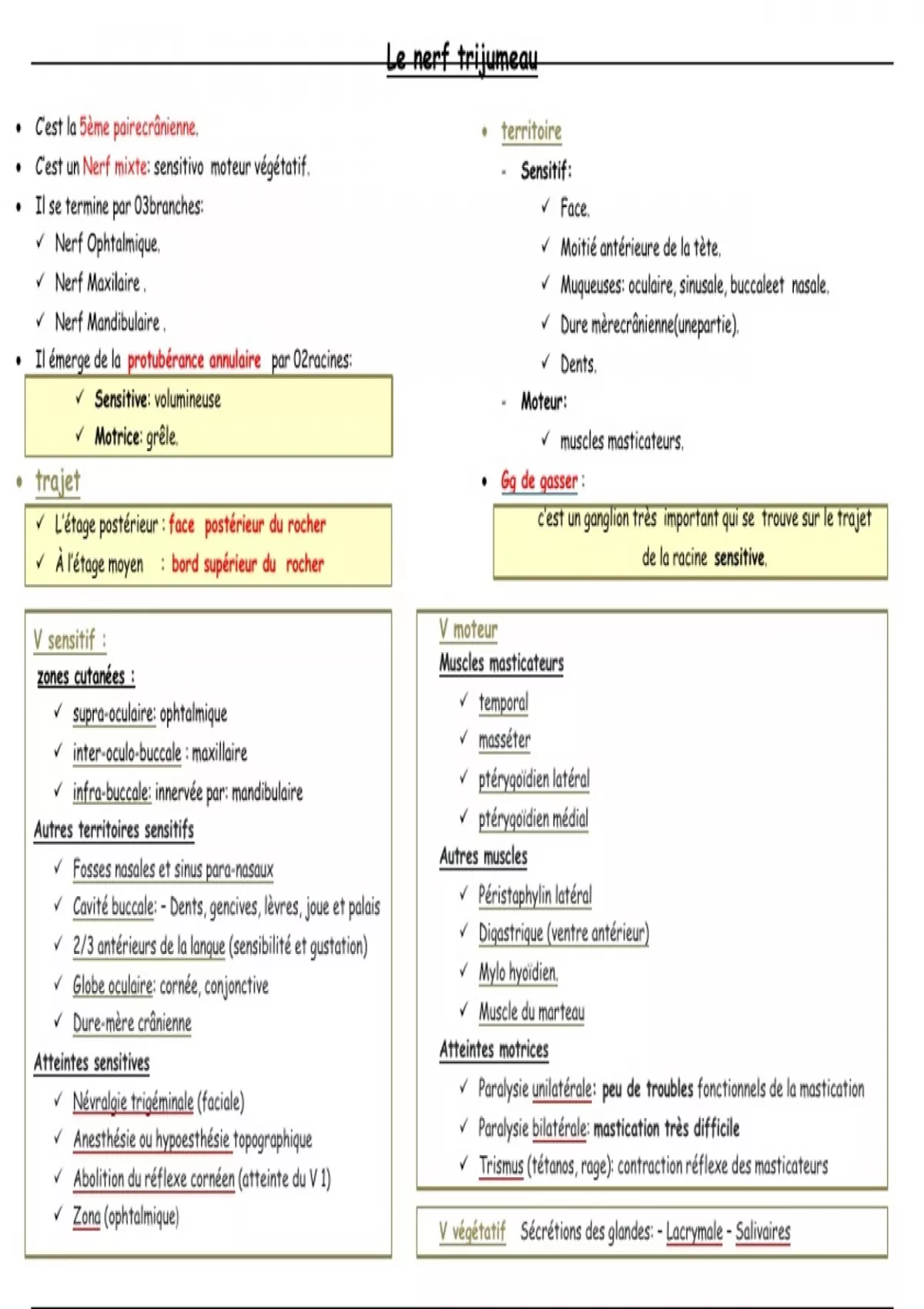 Anatomie du nerf trijumeau en résumé - Nerf trijumeau - Stuvia US
