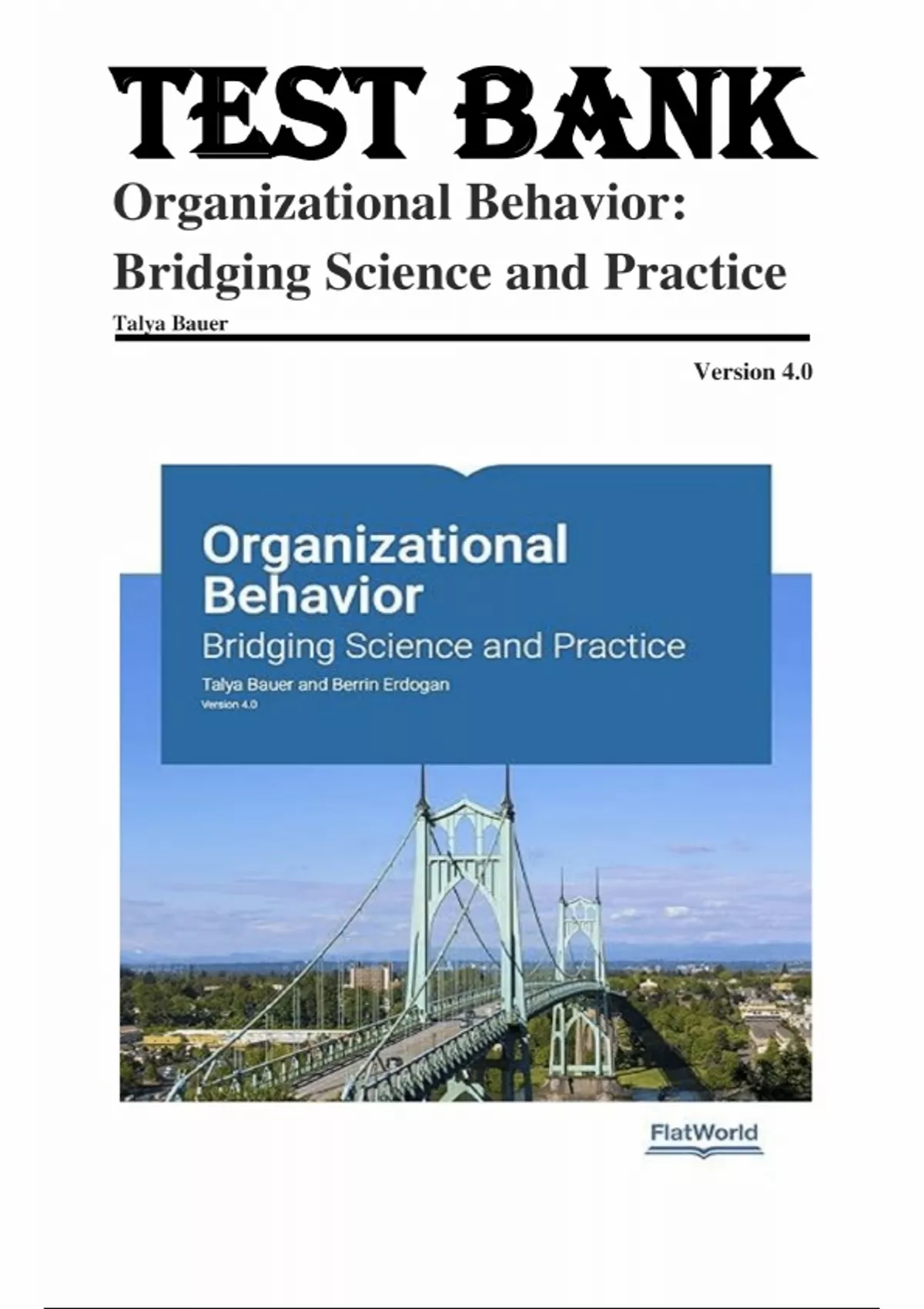 Test Bank - Organizational Behavior: Bridging Science and Practice ...
