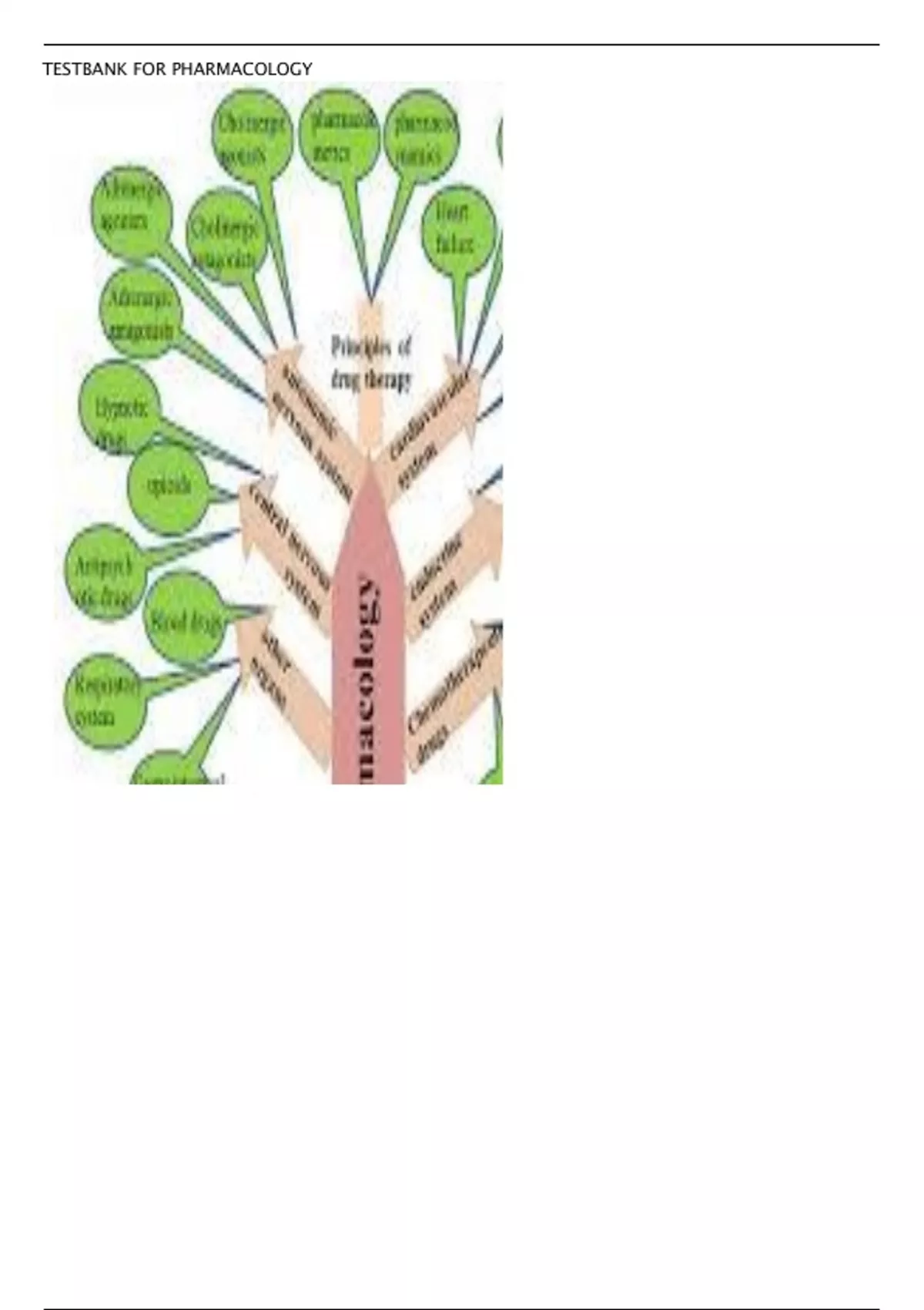Test Bank for Basic and Clinical Pharmacology 15th Edition Katzung ...
