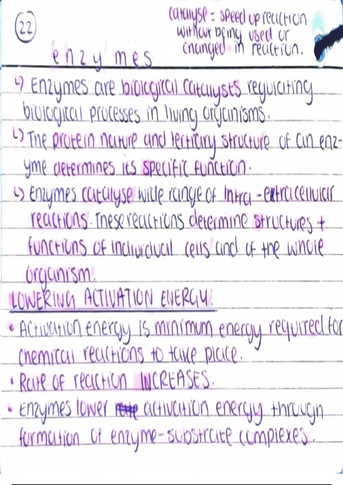 aqa alevel biology enzymes from biological molecules handwritten notes ...