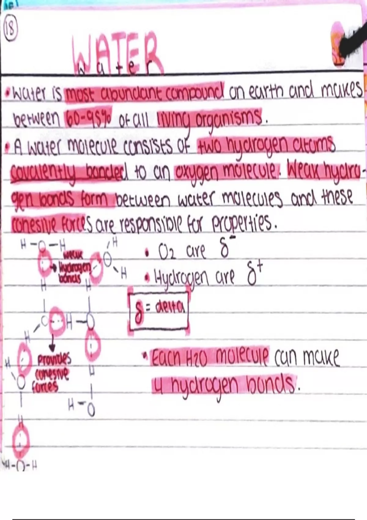 aqa alevel biology notes on water and inorganic ions - Unit 1 ...