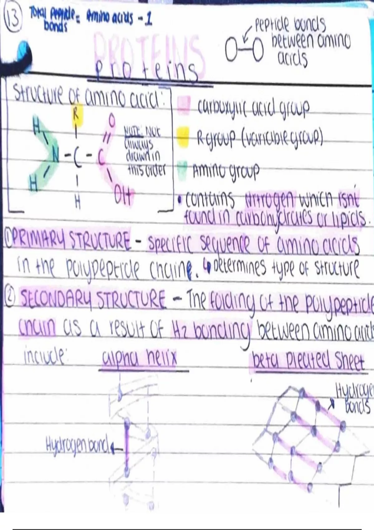 aqa alevel biology protein notes - Unit 1 - Biological molecules ...