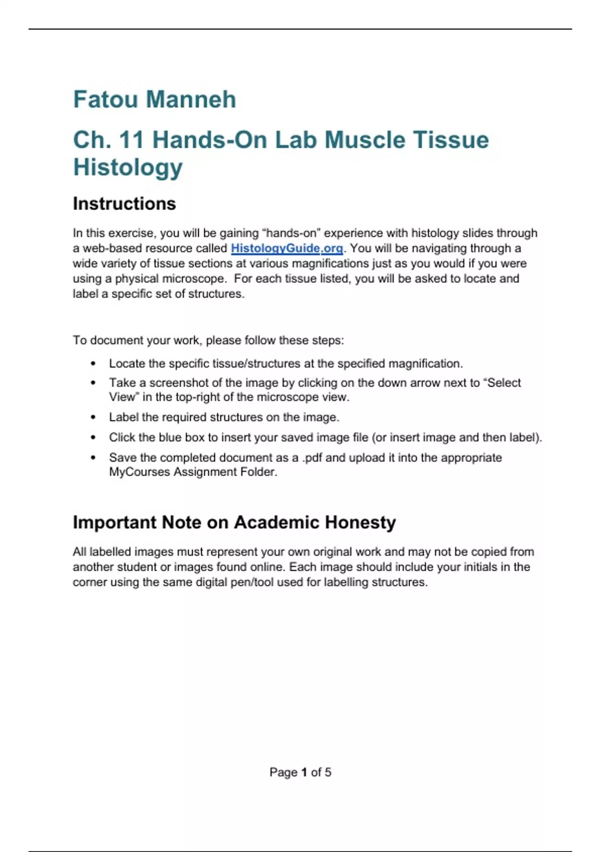 Ch 11 Hands On Lab - Muscle Tissue Histology with Images - Anatomy ...