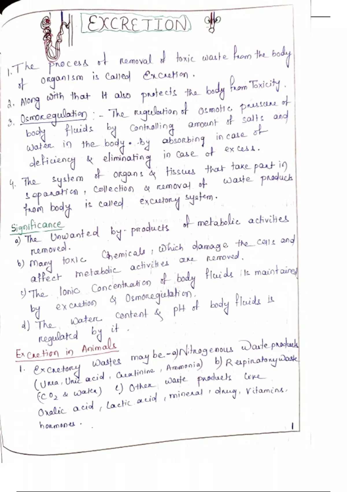 CBSE class 10th science life processes handwritten notes on (excretion ...