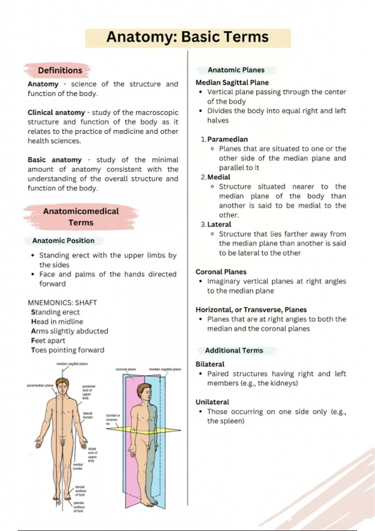 Summary Gross Anatomy Basic Terms - Gross Anatomy - Stuvia US