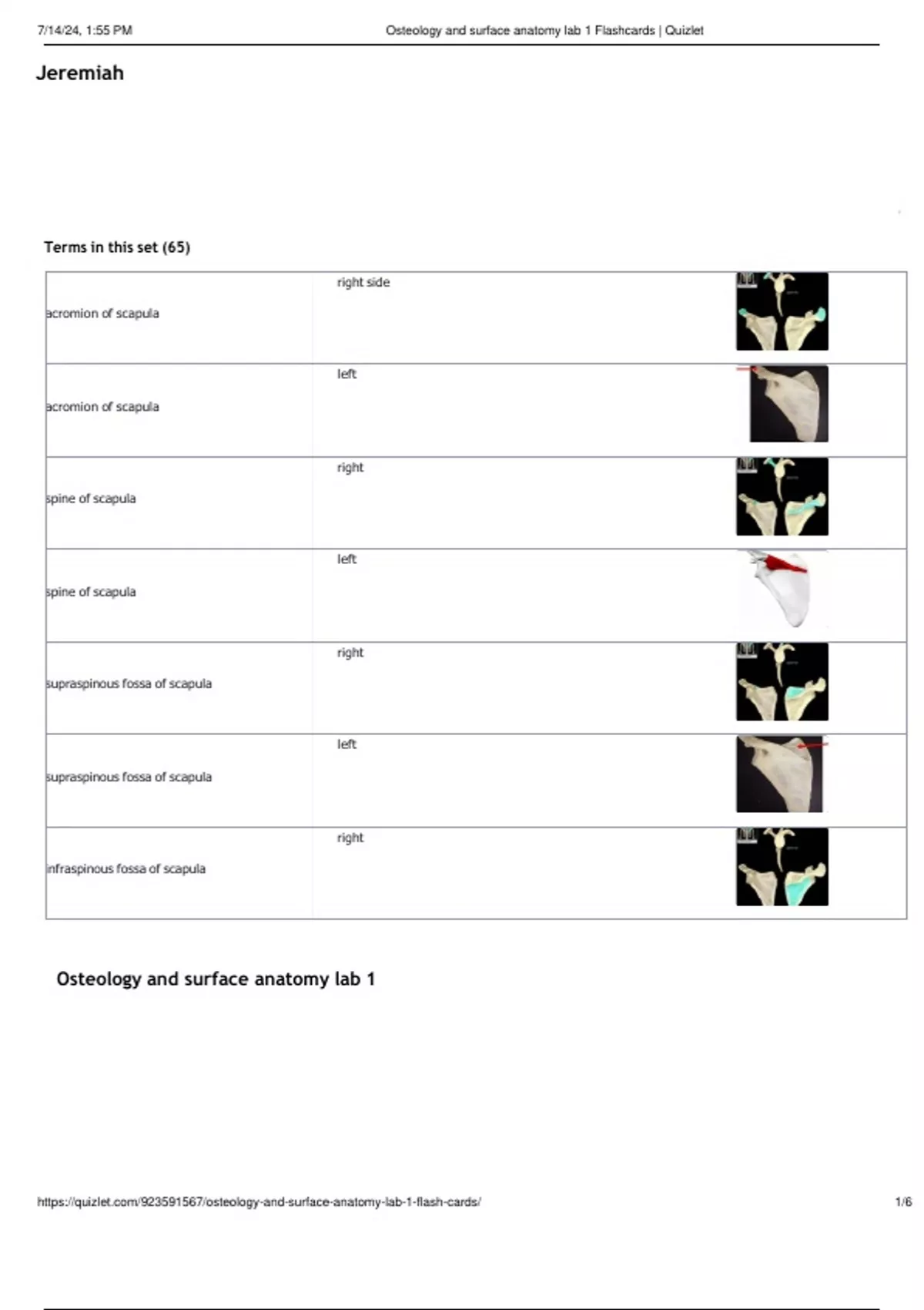 Osteology and surface anatomy lab 1 Flashcards _ 100- SURE ANSWERS(1).pdf - CAMS - Certified ...