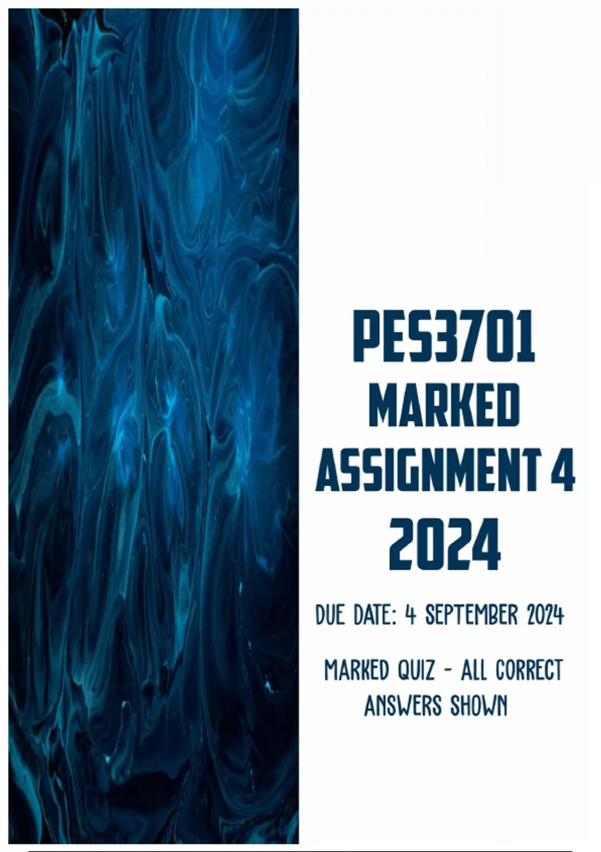 PES3701 Assignment 4 2024 | Due 4 September 2024 - Physical Education ...