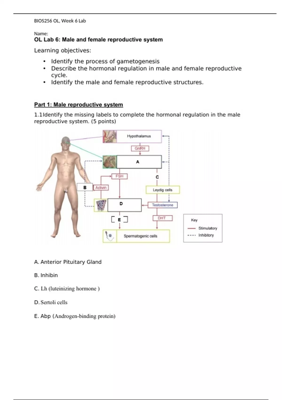 BIOS256 OL, Week 6 Lab SUMMER 2024 - BIOS256 - Stuvia US