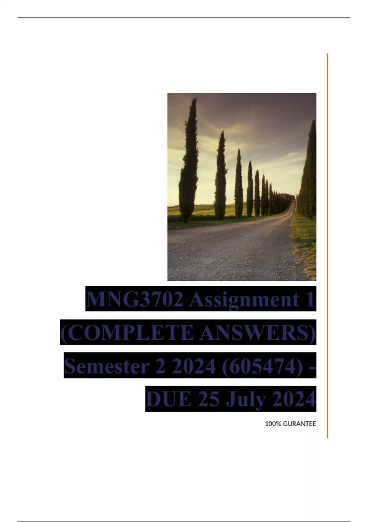 MNG3702 Assignment 1 (COMPLETE ANSWERS) Semester 2 2024 (605474) - DUE 25 July 2024 - Strategic ...