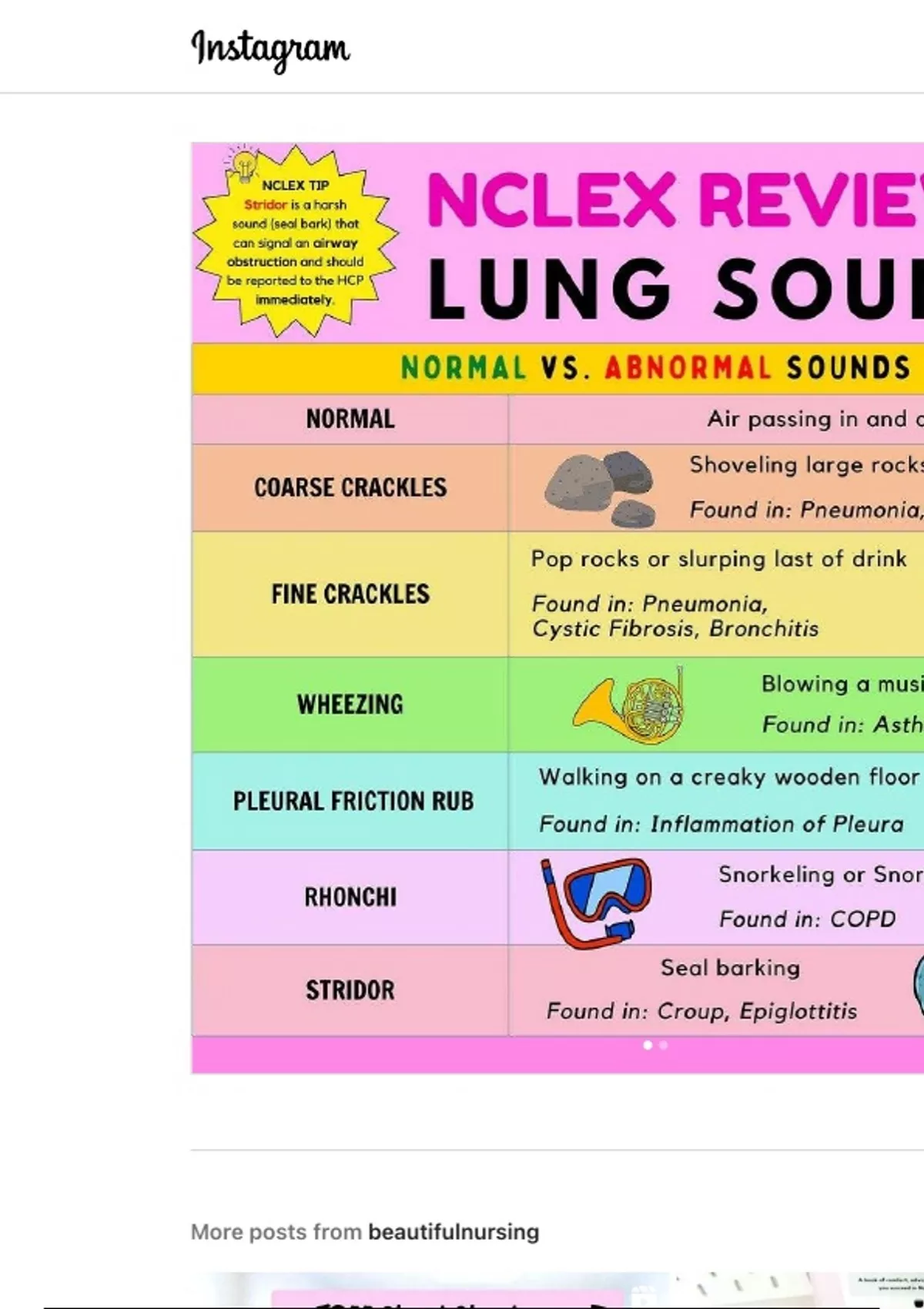 Hazmat Training for Emergency Medical Services (HAN 477) Lung Sounds ...