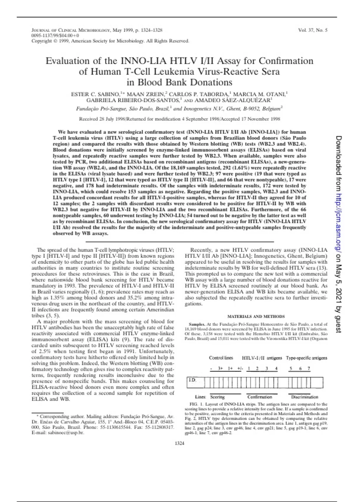Evaluation of the INNO-LIA HTLV I/II Assay for Confirmation of Human T ...