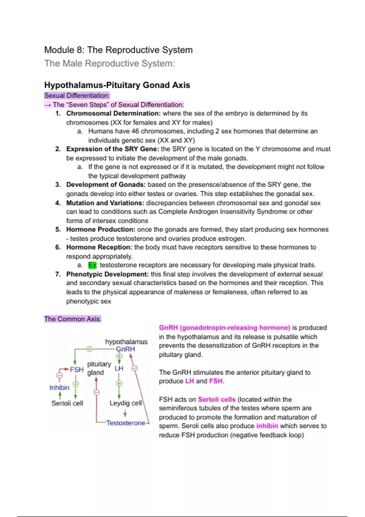 The Reproductive System - CELLBIO 451 - Introduction to Human ...