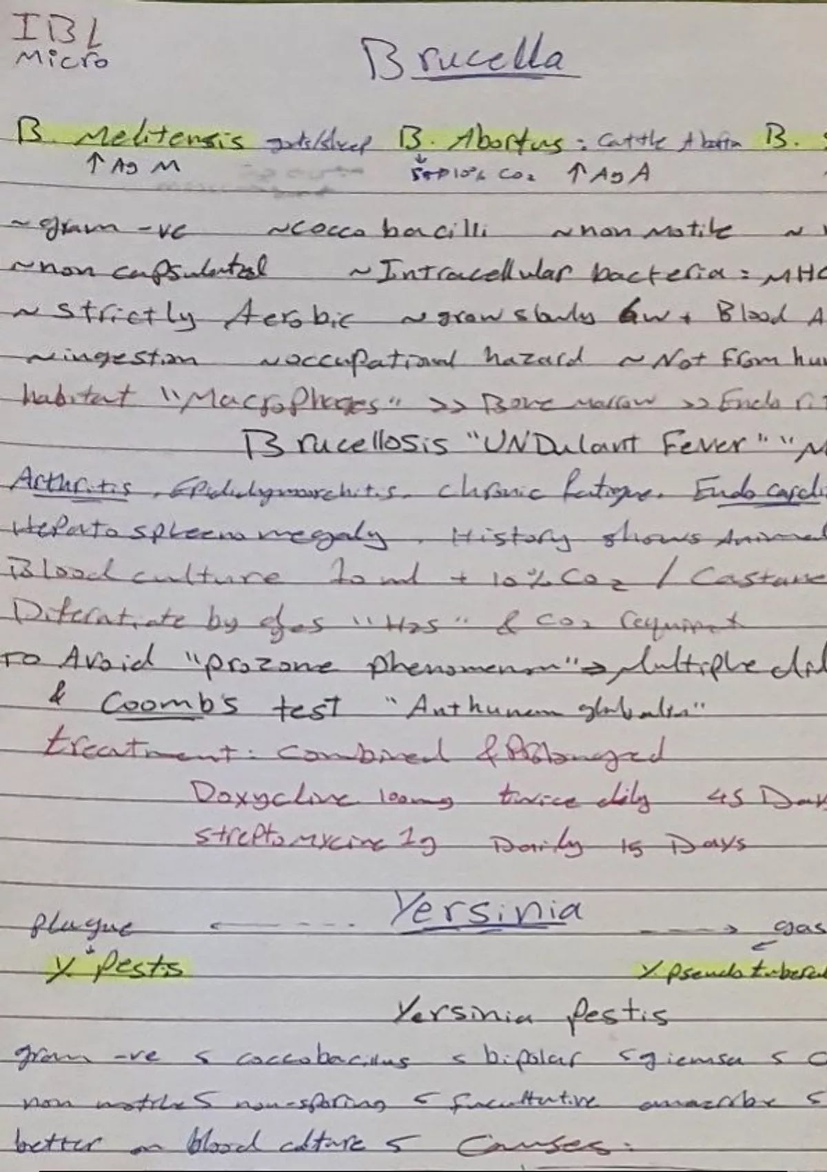 Summary Handwritten Notes on Blood and Lymphatics Microbiology and ...