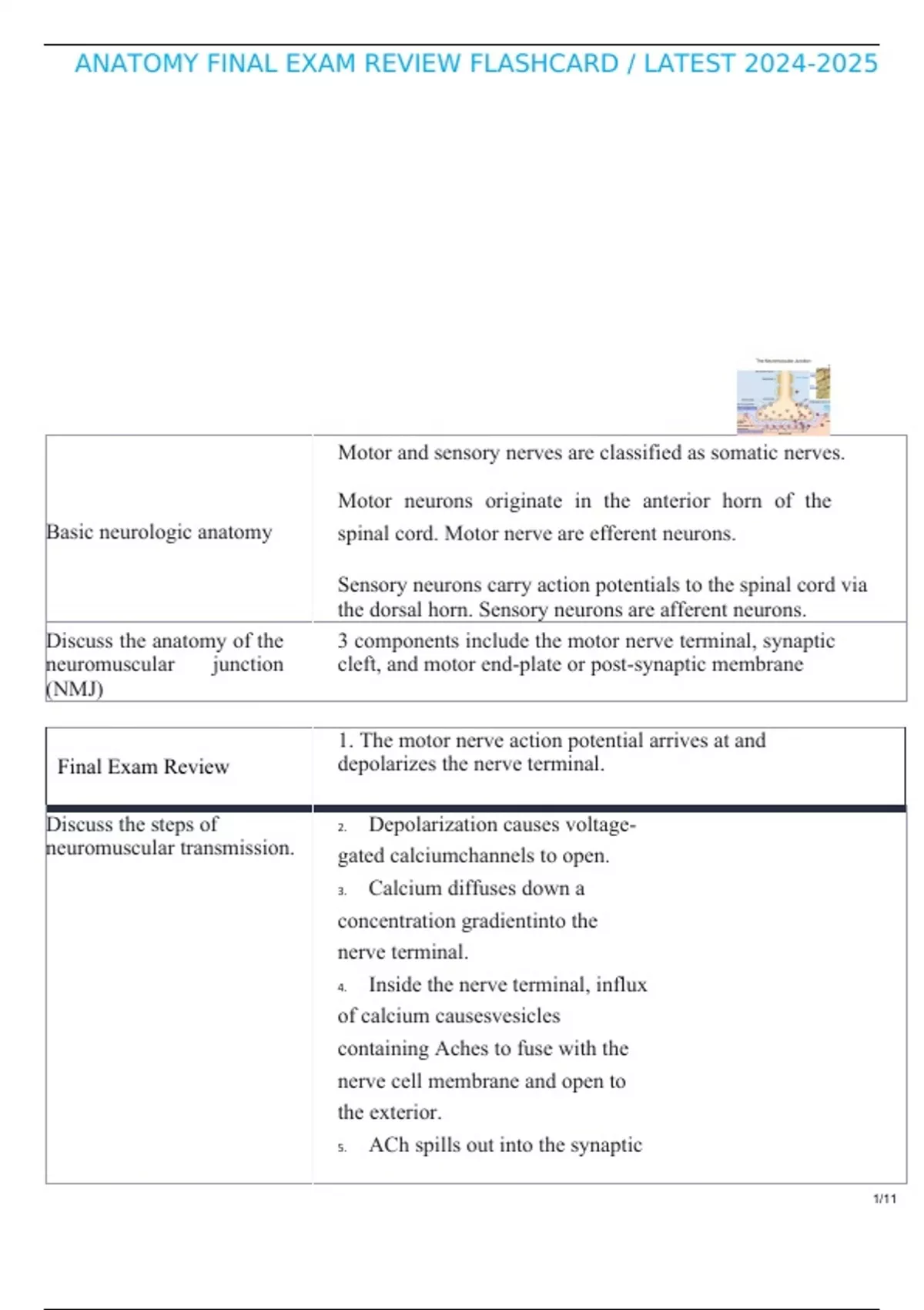 ANATOMY FINAL EXAM REVIEW FLASHCARD LATEST t - ANATOMY - Stuvia US