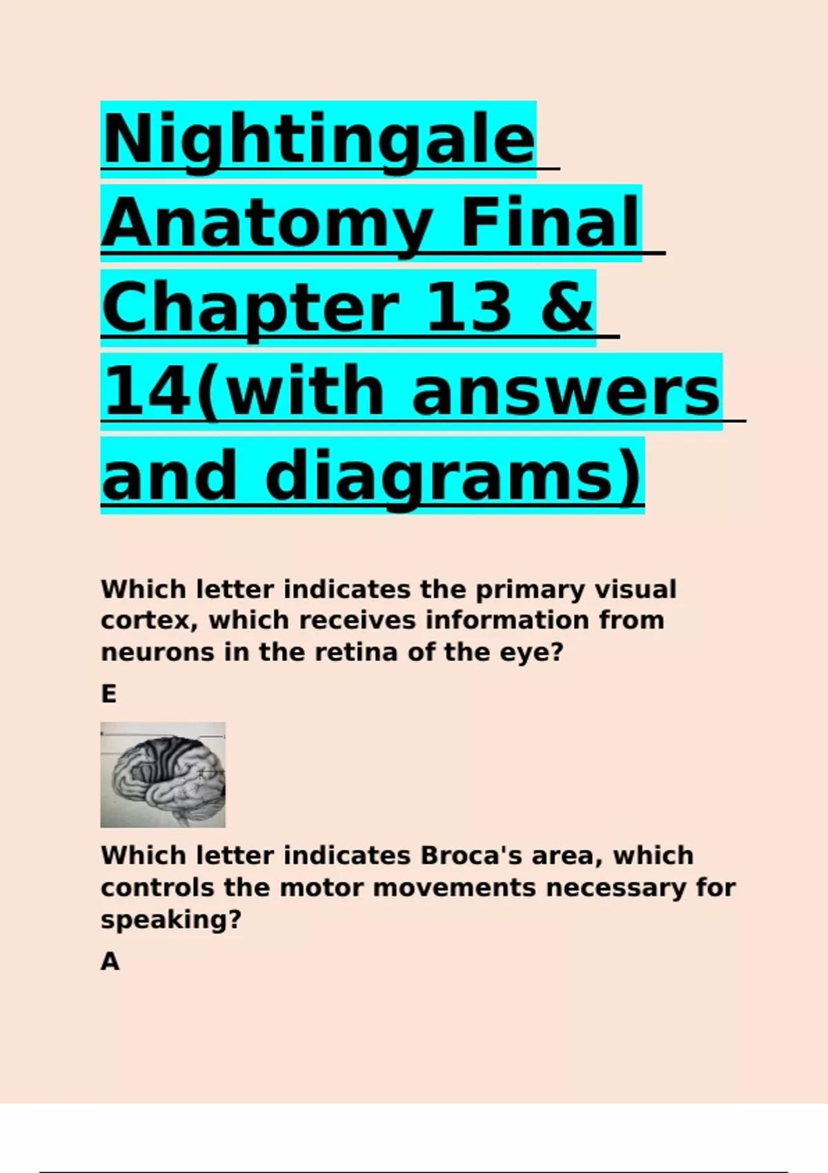 Nightingale Anatomy Final Chapter 13 & 14(with answers and diagrams ...