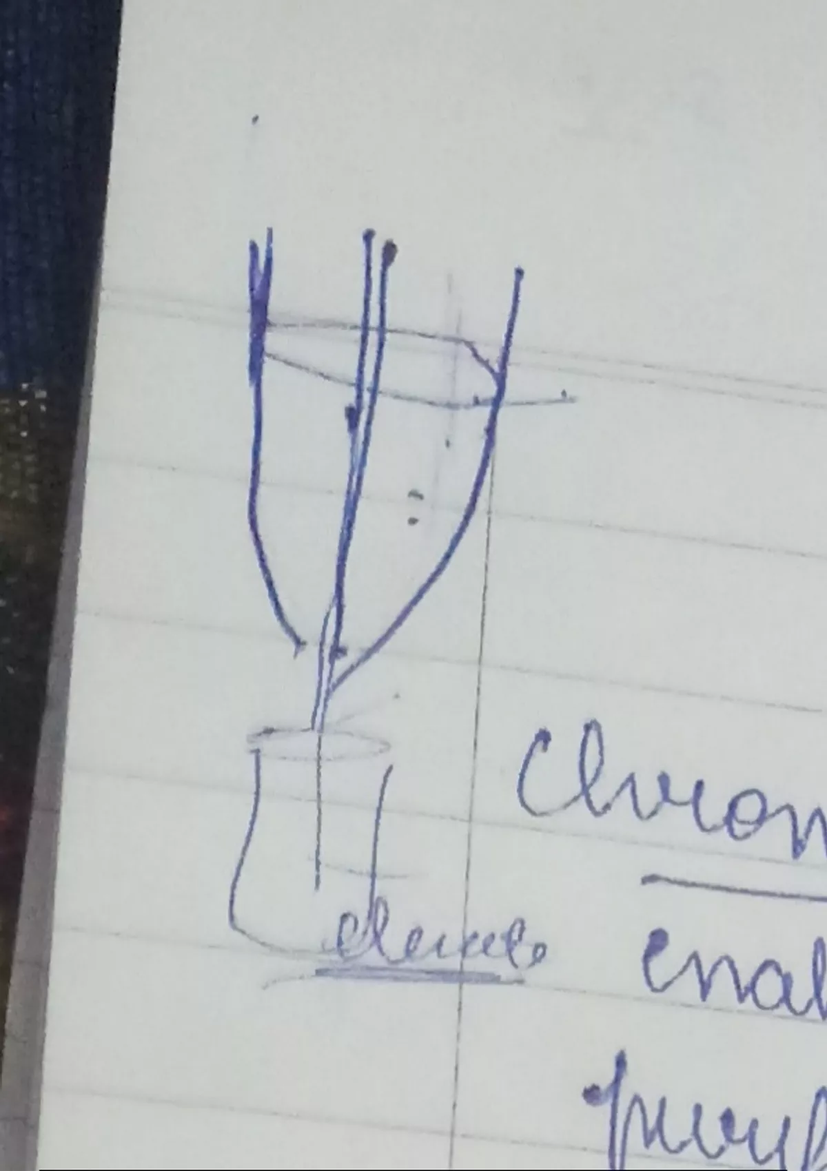 Summary Revision Notes on Chromatography Techniques - GATE - Stuvia US