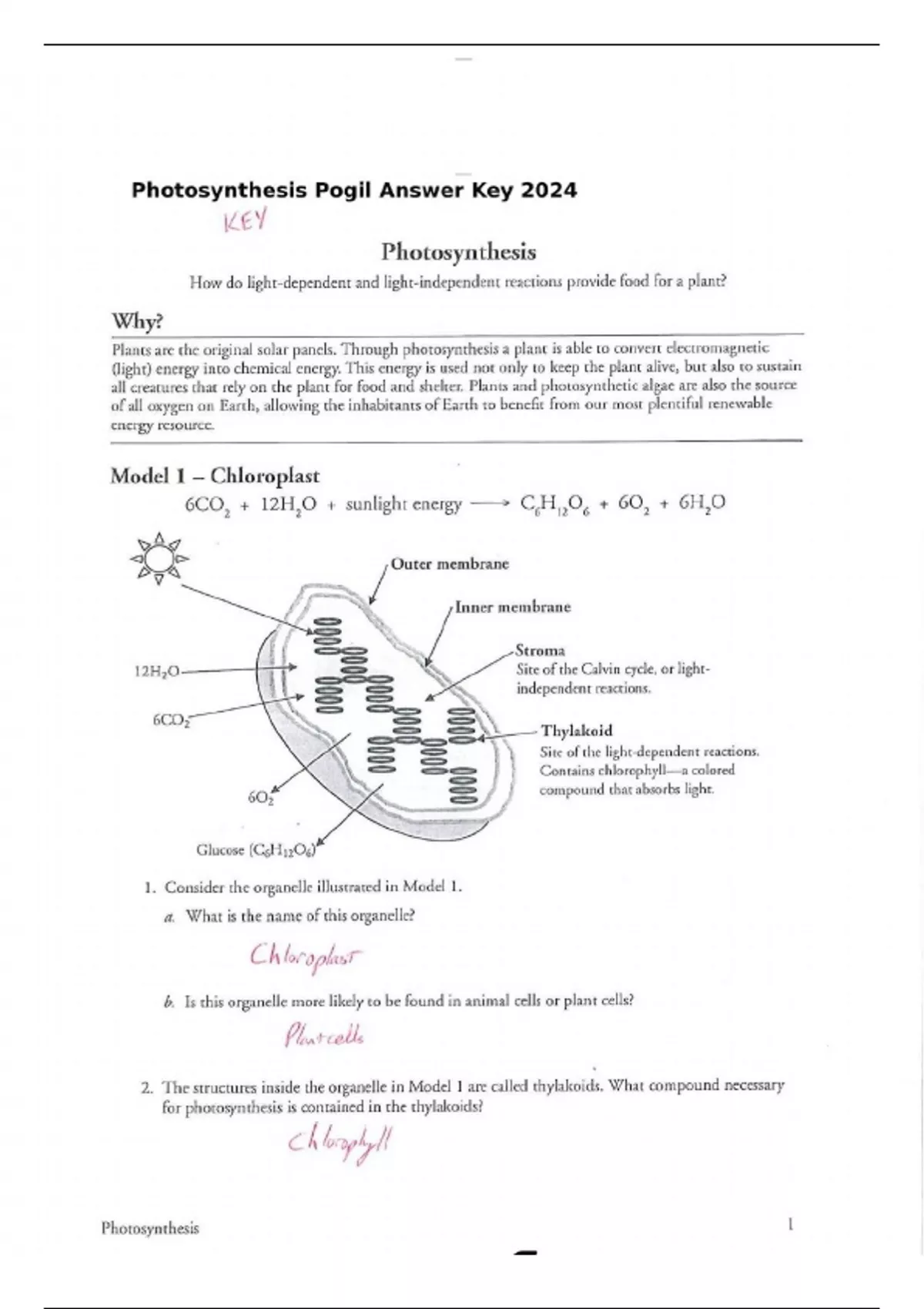 Photosynthesis Pogil Questions and Answer Key 2024 Complete - Photosynthesis Pogil - Stuvia US