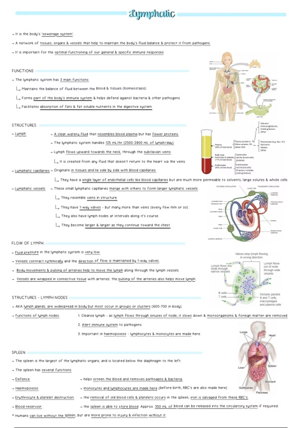 Summary Lymphatic System NOTES - VCE VET Health/ Certificate III in ...