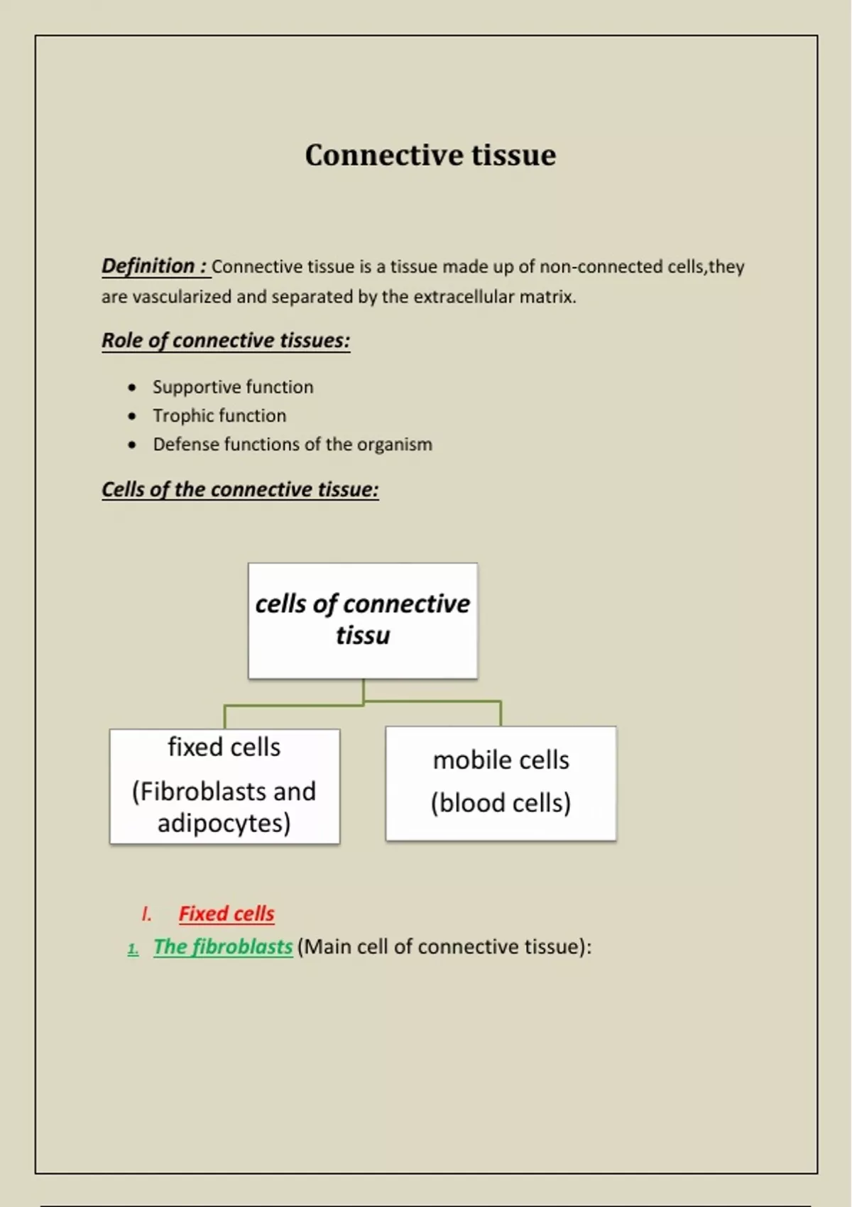 connective tissue summary - Histology (HISTO) - Stuvia US