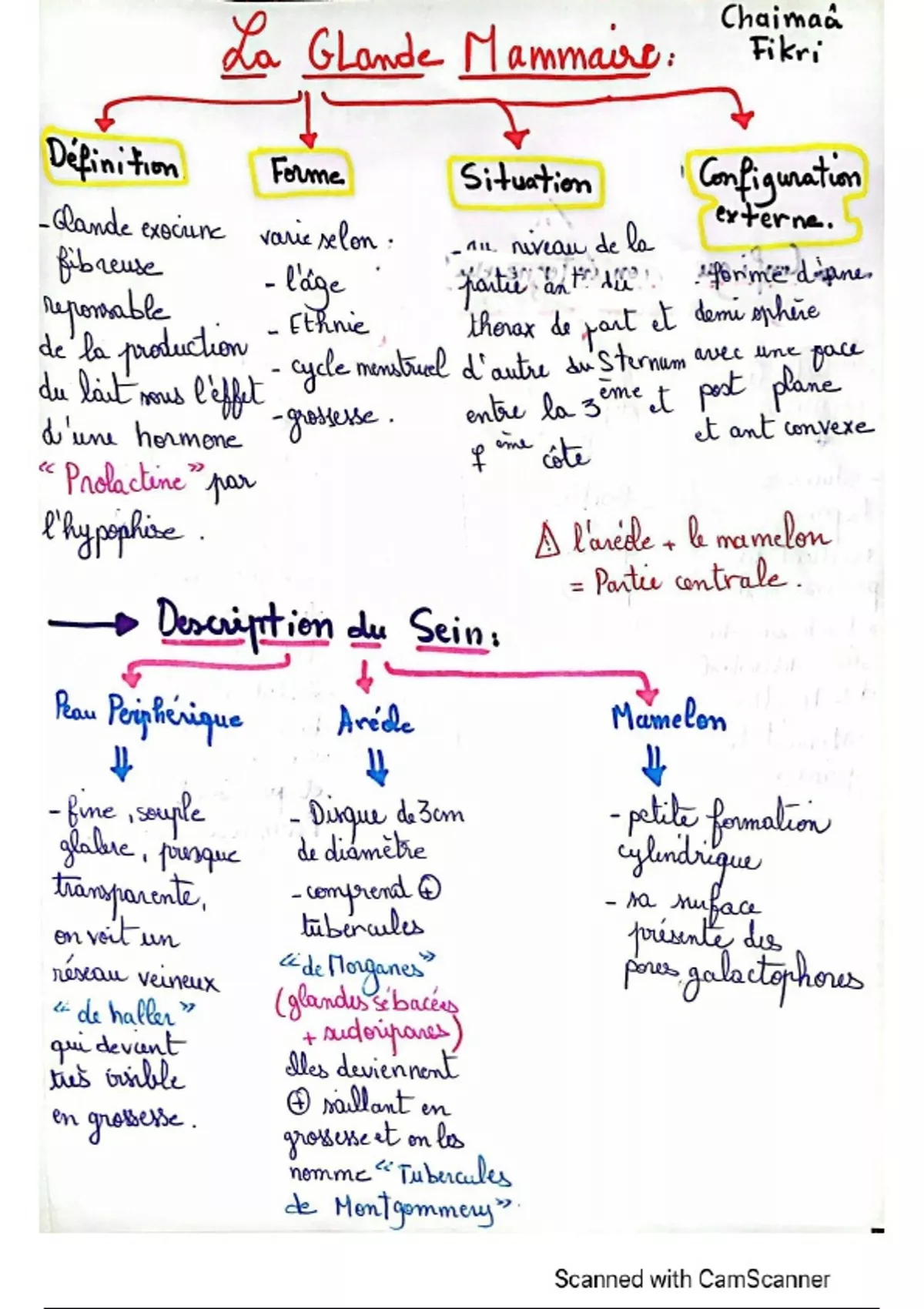 Anatomie de la glande mammaire - Anatomie - Stuvia US