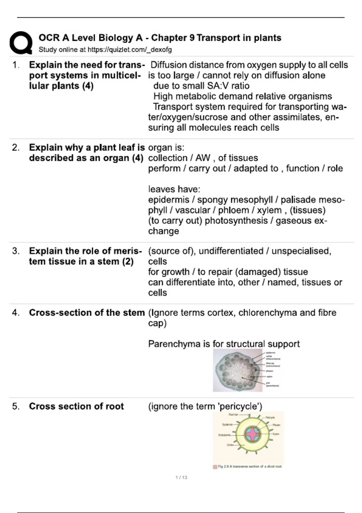 Summary OCR A Level Biology - Chapter 9 Transport in plants FLASHCARDS ...