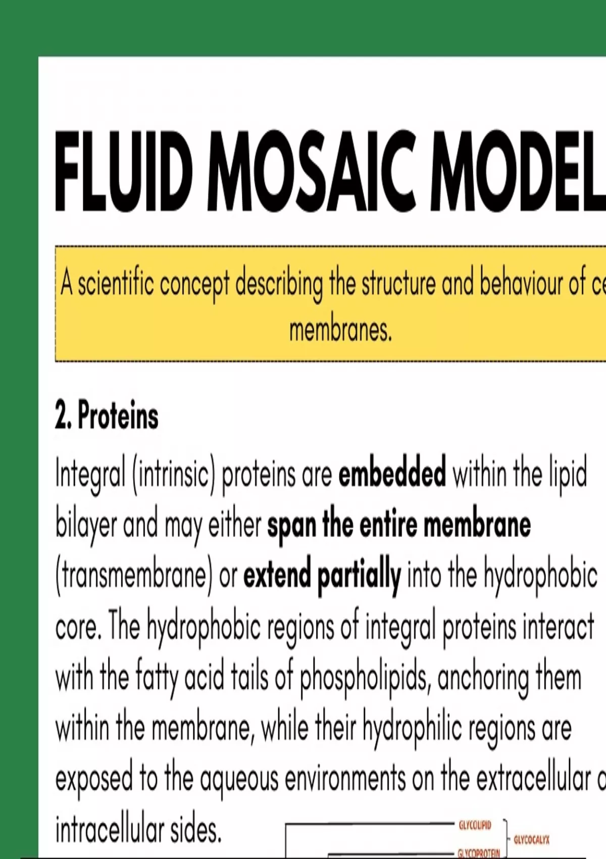 Summary The Fluid Mosaic Model - An Overview - Biology - Stuvia UK