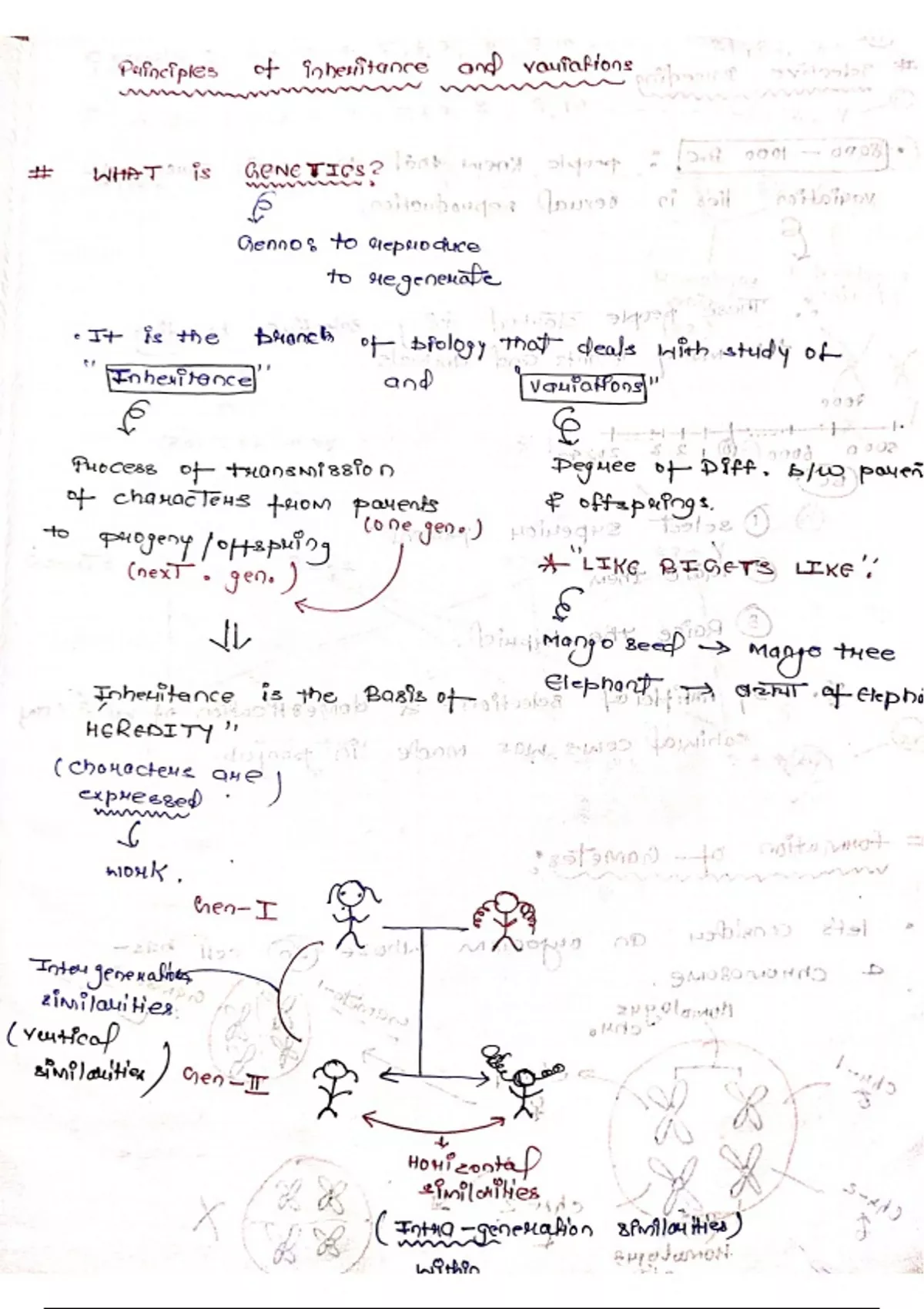 Principal of inheritance and variations class 12 botany - Biology ...