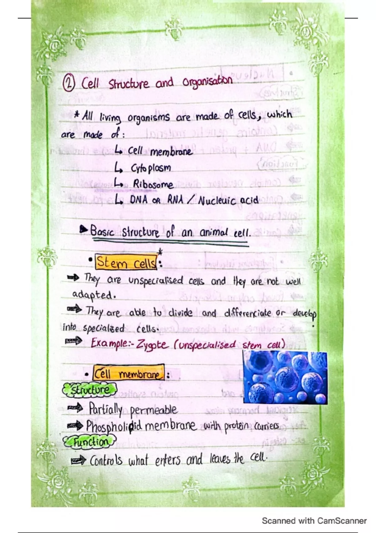 IGCSE Cambridge Biology OL (0610) Chapter 2 Cell structure and ...