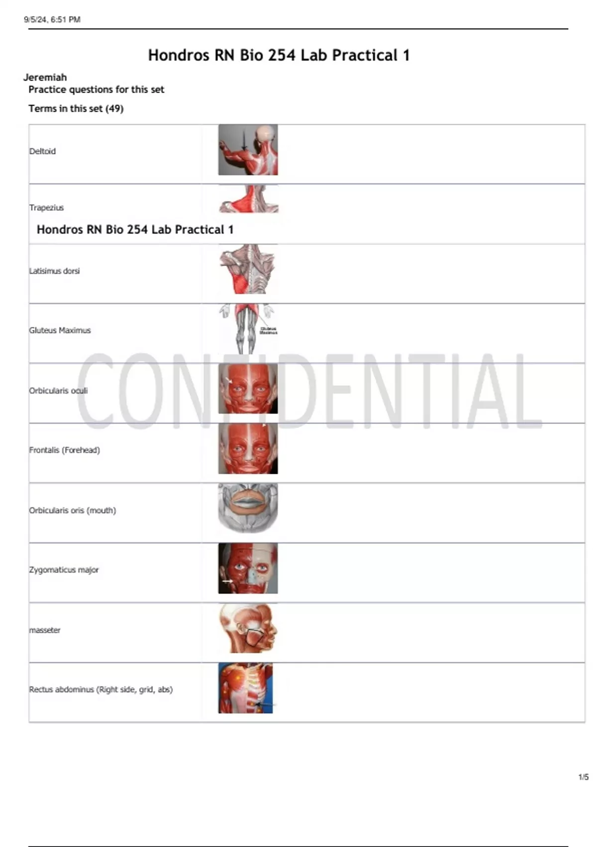 CEFP Practice Exam Competed Study Guide 2024 Questions & Answers Already Passed!_.pdf - Stuvia US