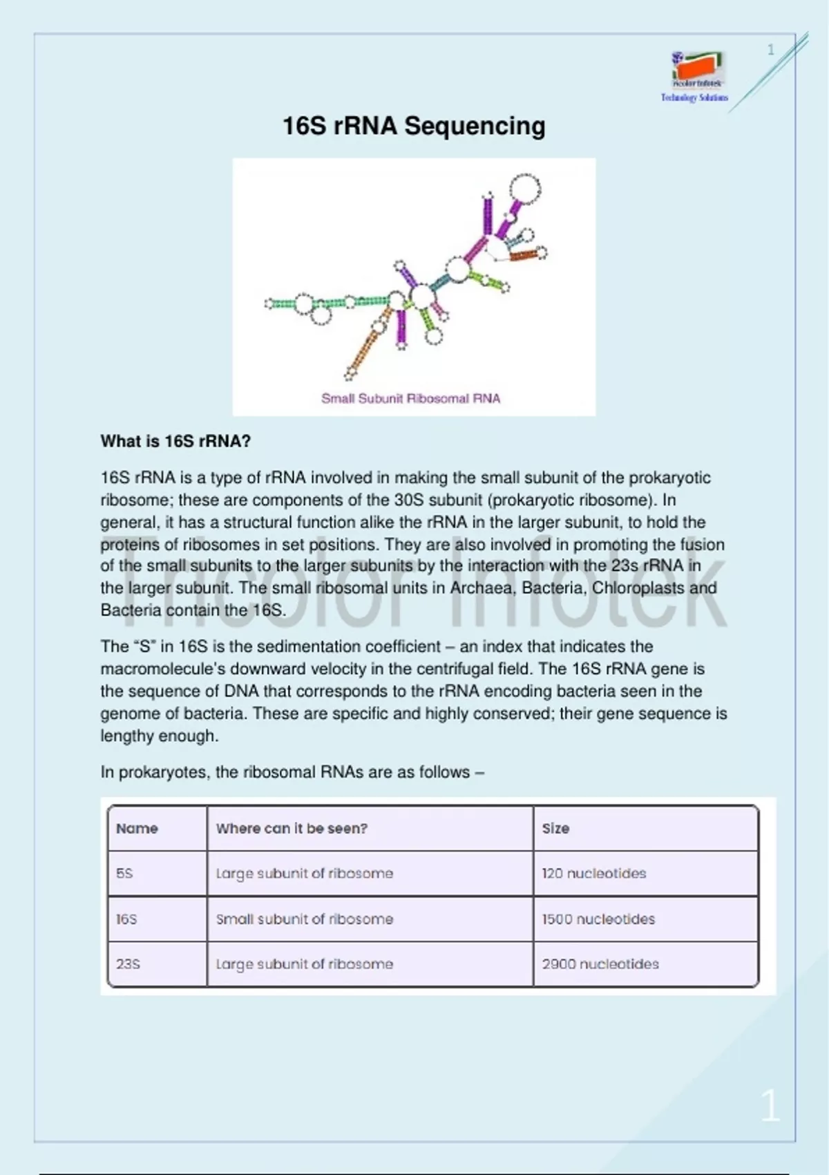 16S rRNA Sequencing - Biology - Stuvia US