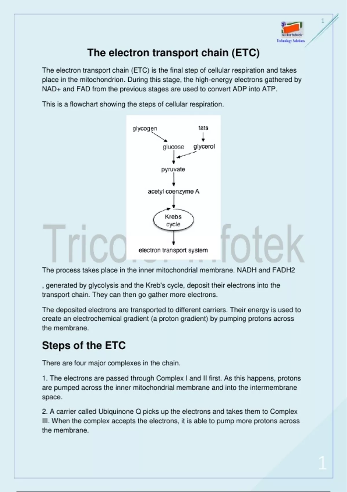 Electron Transport Chain (ETC) - Biology - Stuvia US