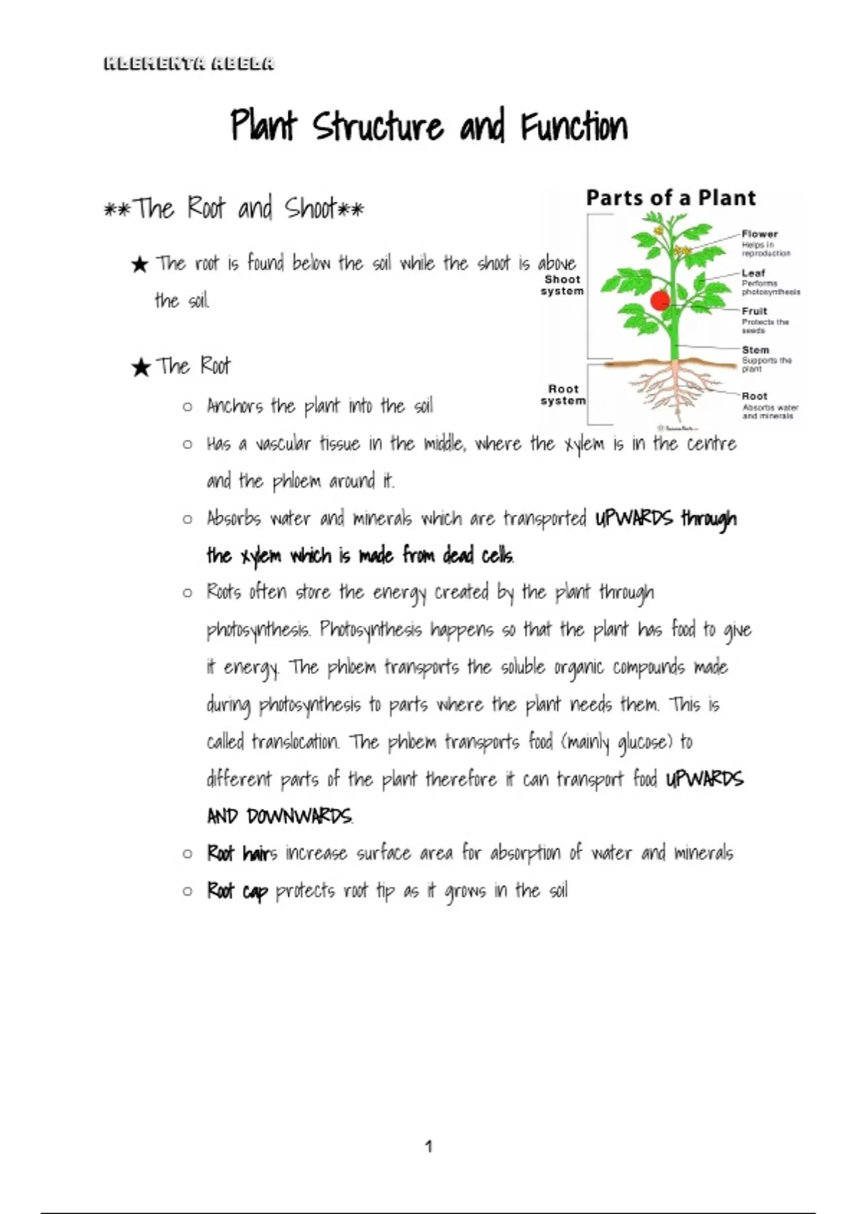 Class notes Biology Summary of Plants - Biology - Stuvia US