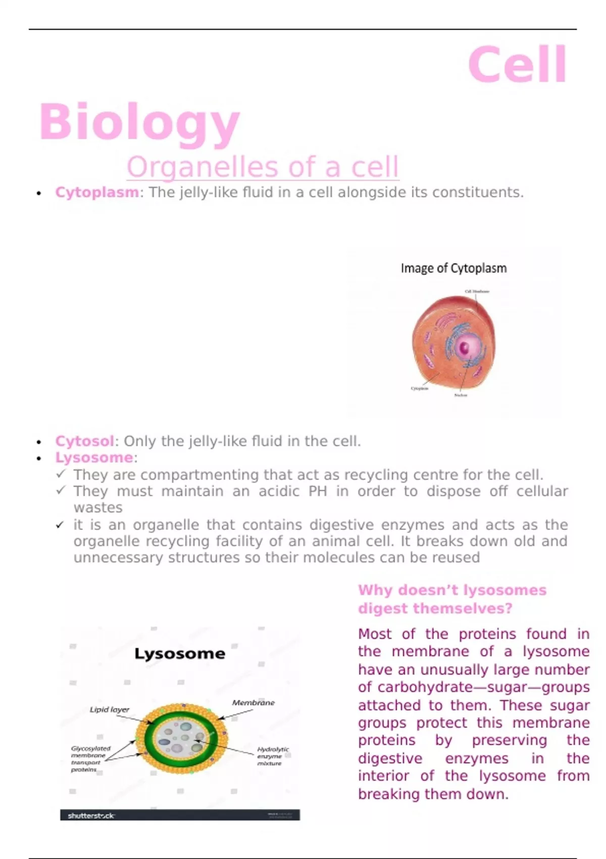 Summary “Cell Organelles: Structure, Function, and Importance ...