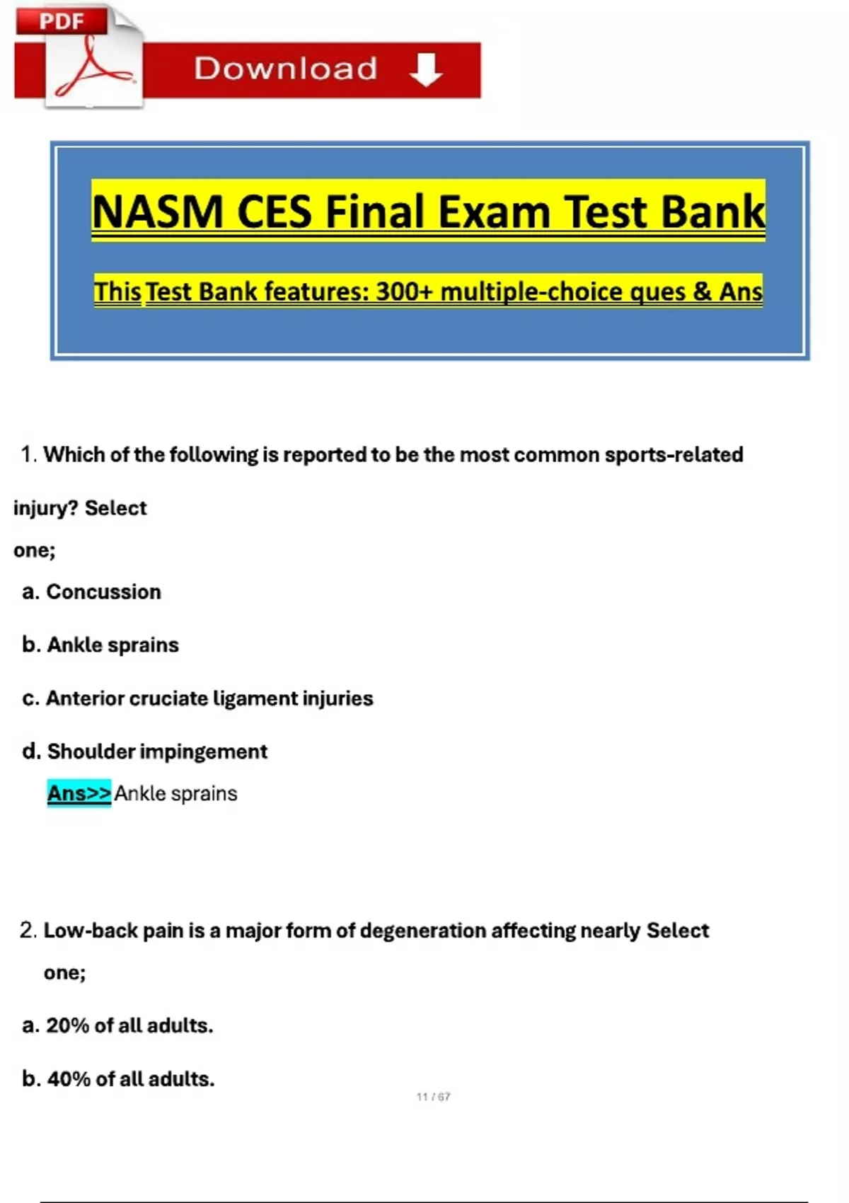 (2024 / 2025) Study Bundle for NASM CES Final Exam (100% Guarantee Pass) (COMPLETE PACKAGE ...