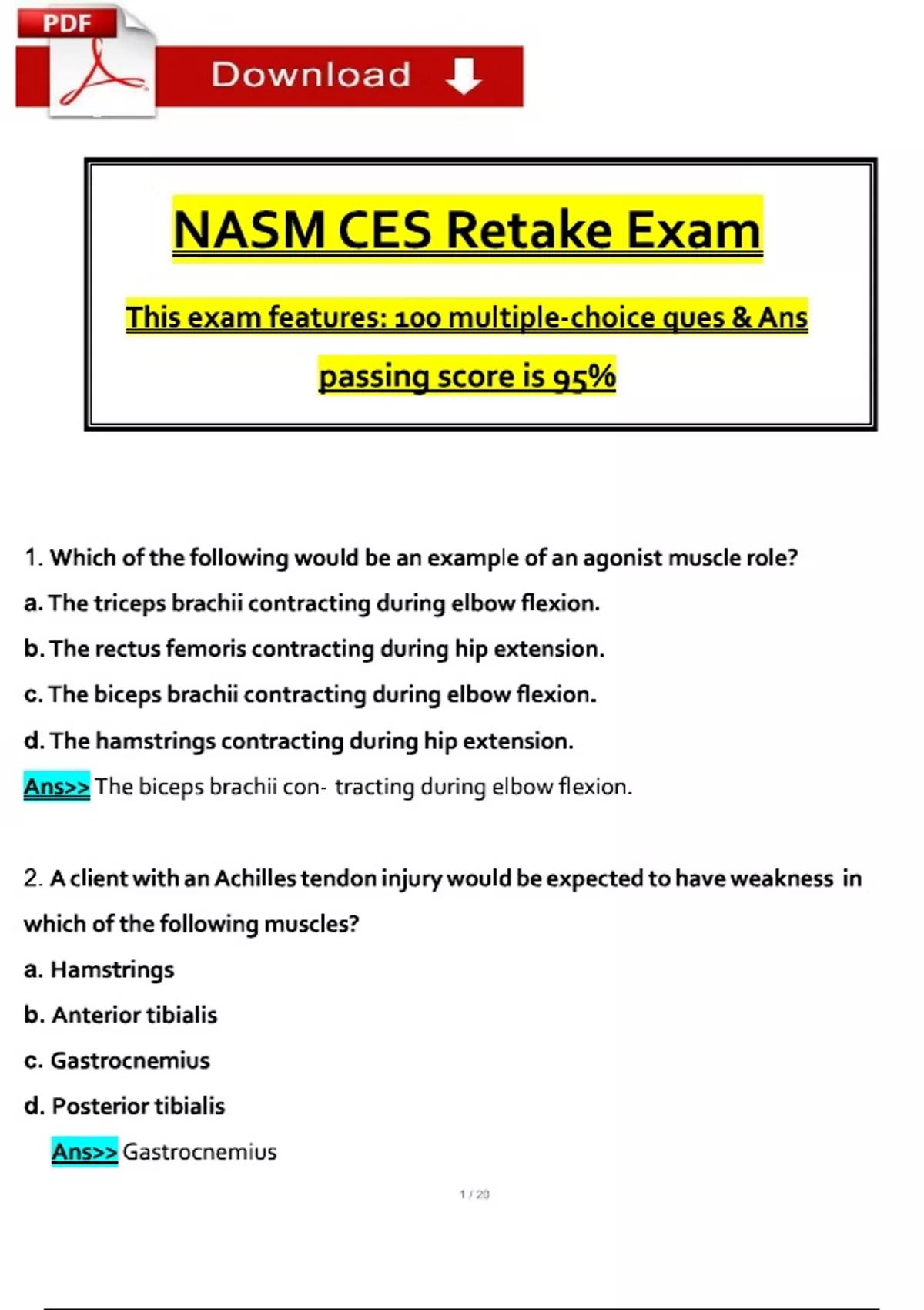 NASM CES Exam Retake Questions (2024 / 2025) with Verified Answers, 100 ...
